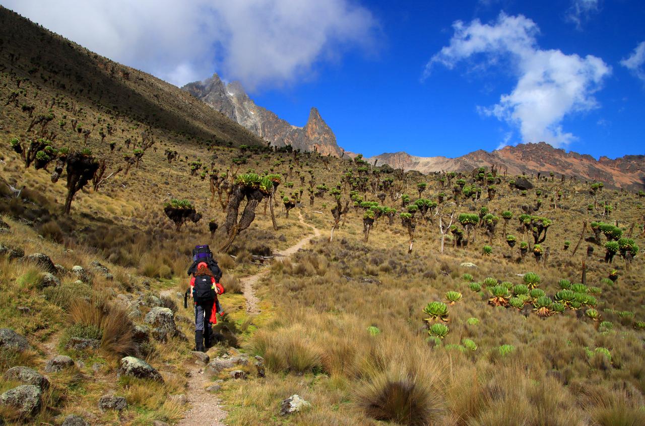 4-Day Mount Kenya Naro Moru Route Trekking Expedition from Nairobi